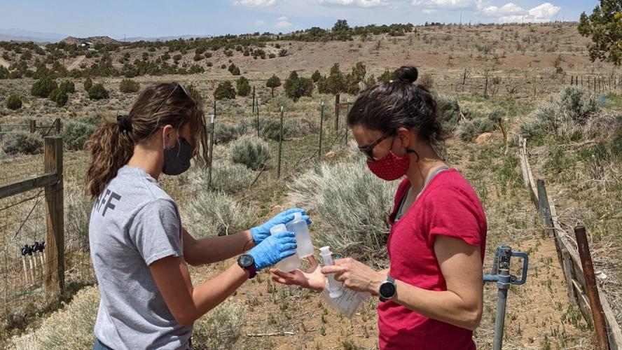 Is there arsenic in your private well? Study analyzes residents’ risk ...