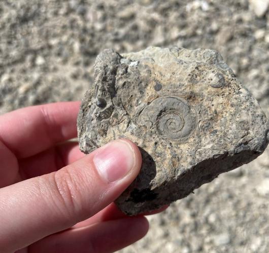 Rockhounding in Southern Utah: What do you need to know? | Explore ...