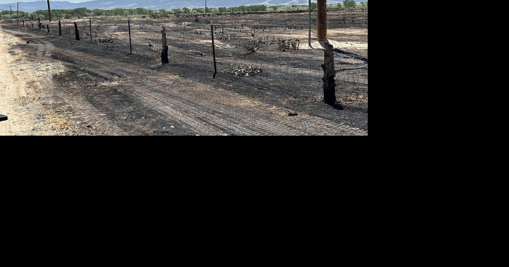 Cedar City, state firefighting crews contain, extinguish brush fire ...
