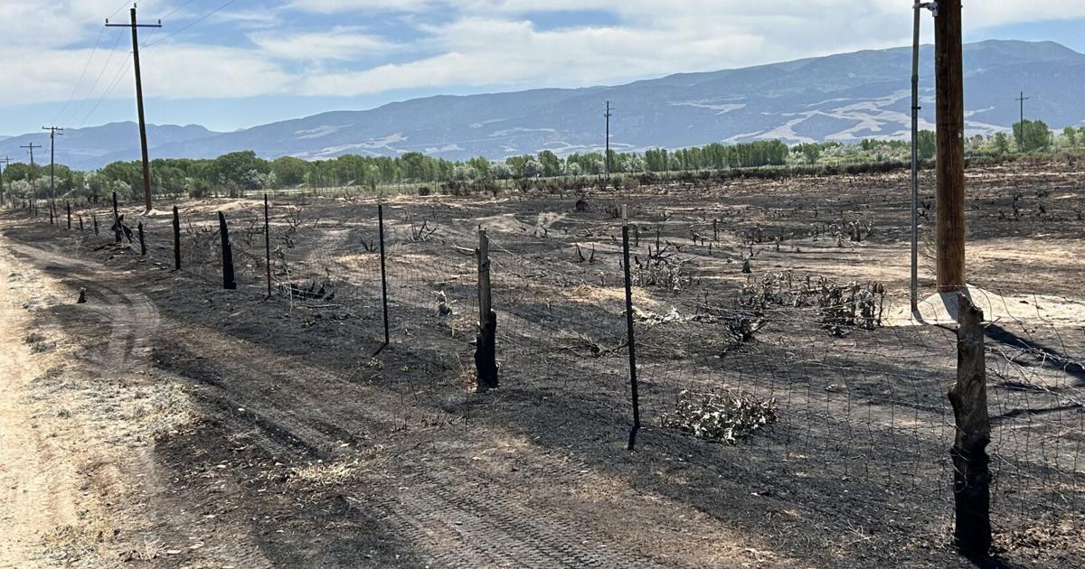 Cedar City, state firefighting crews contain, extinguish brush fire ... Cedar City, state firefighting crews contain, extinguish brush fire ...