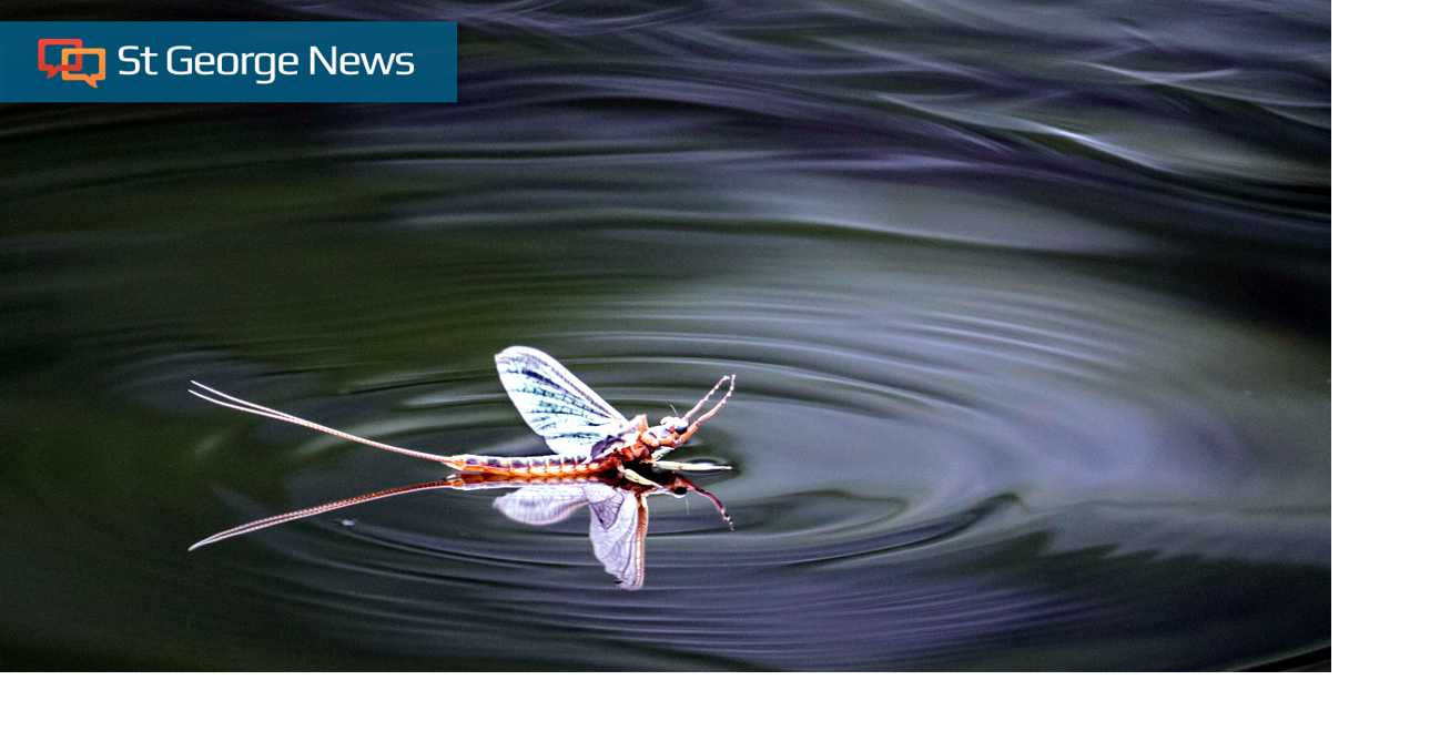 Bug Flow experiment to be conducted this summer under the Glen Canyon ...