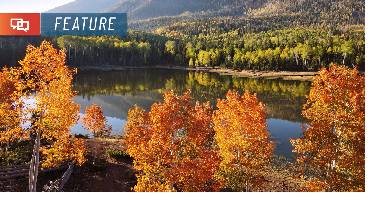 Take a road trip and experience Southwest Utah’s top 3 fall foliage ...