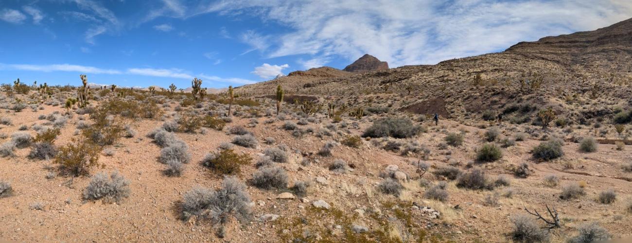Experience desert critters and biodiversity during Latino Conservation ...