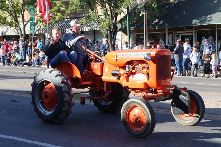 Video, photo gallery: Ewe had to be there at Cedar City’s sheep parade ...