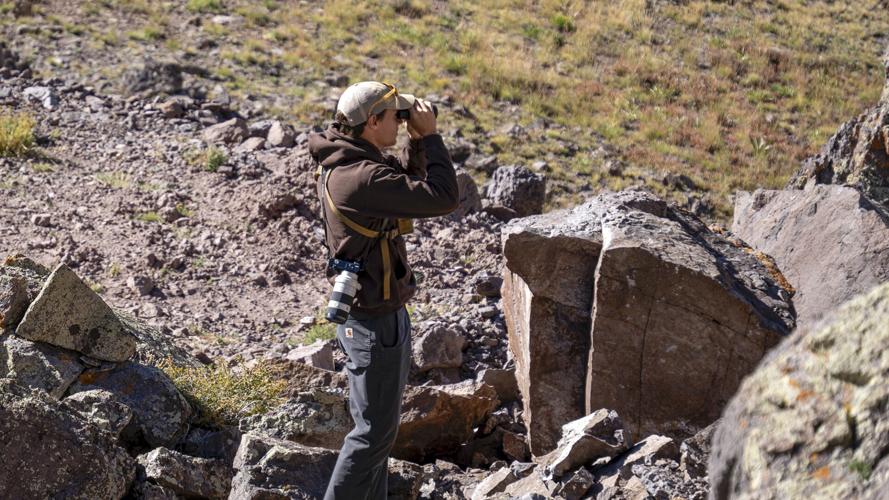 Surveying rock rabbits: Why should Southern Utahns care about this ...