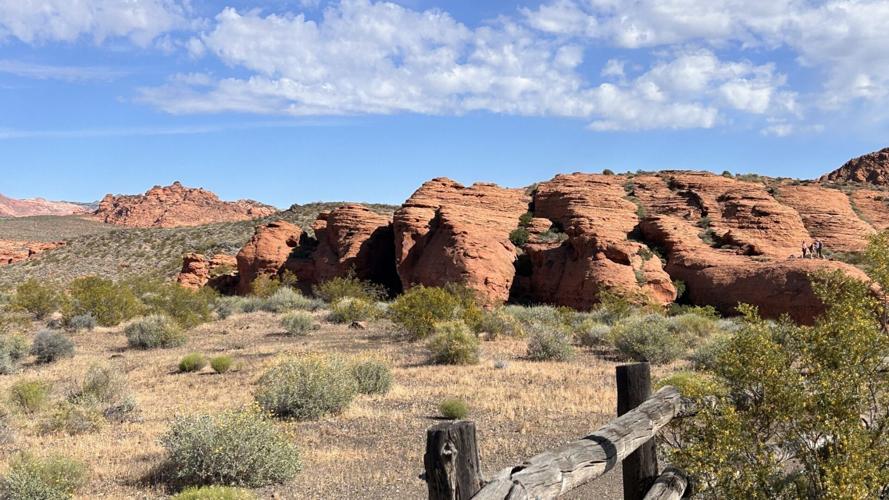 Community gathers to celebrate unveiling of new pavilion at Chuckwalla ...