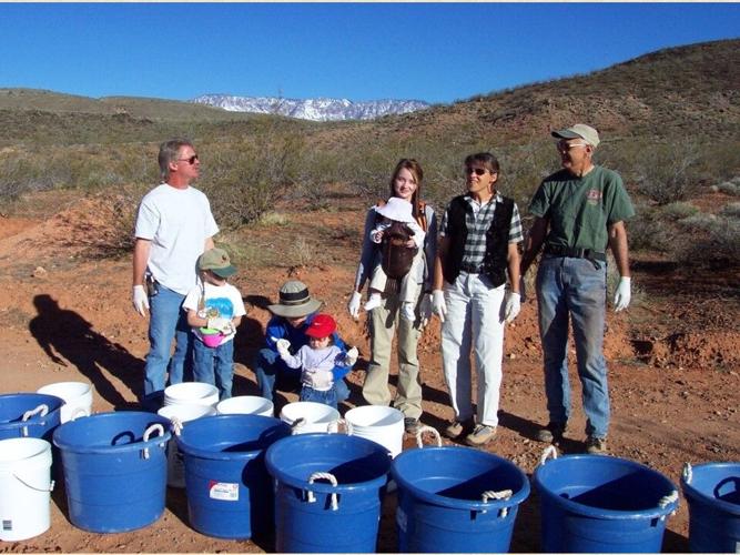 Then and now: A retrospective on tortoise conservation in Southern Utah ...