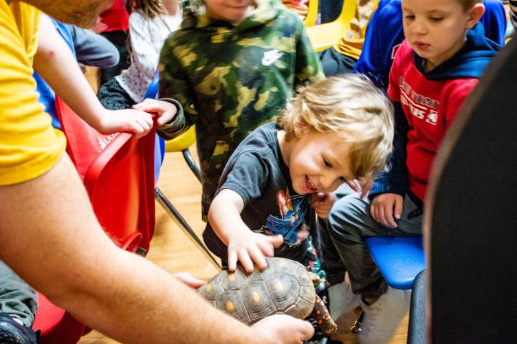 Lizards, tortoises and snakes, oh my! Southern Utah reptile expert ...