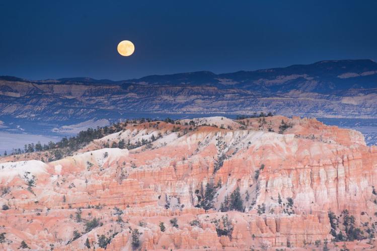 Horoscopes: ‘Buck Moon’ offers golden time for manifesting. Here’s what ...
