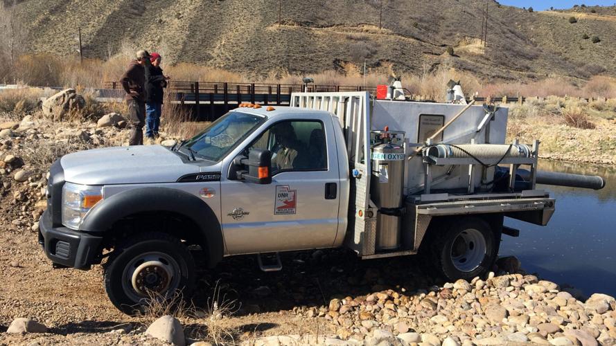 Over 10 million fish stocked across Utah last year | Local News ...