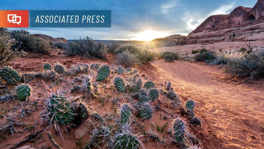 North Dakota state senator, his wife and 2 kids killed in plane crash ...