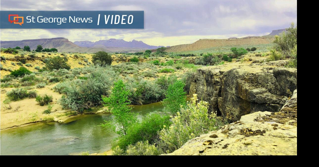 ‘It’s not a 275-home subdivision’; The Nature Conservancy purchases ...