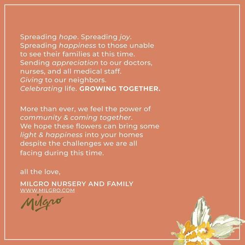 Milgro Nursery partners with UPS to spread joy across Utah with donated ...
