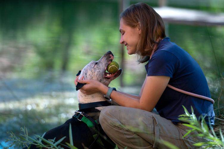 Looking for a furry friend this fall? Best Friends offering $10 ...