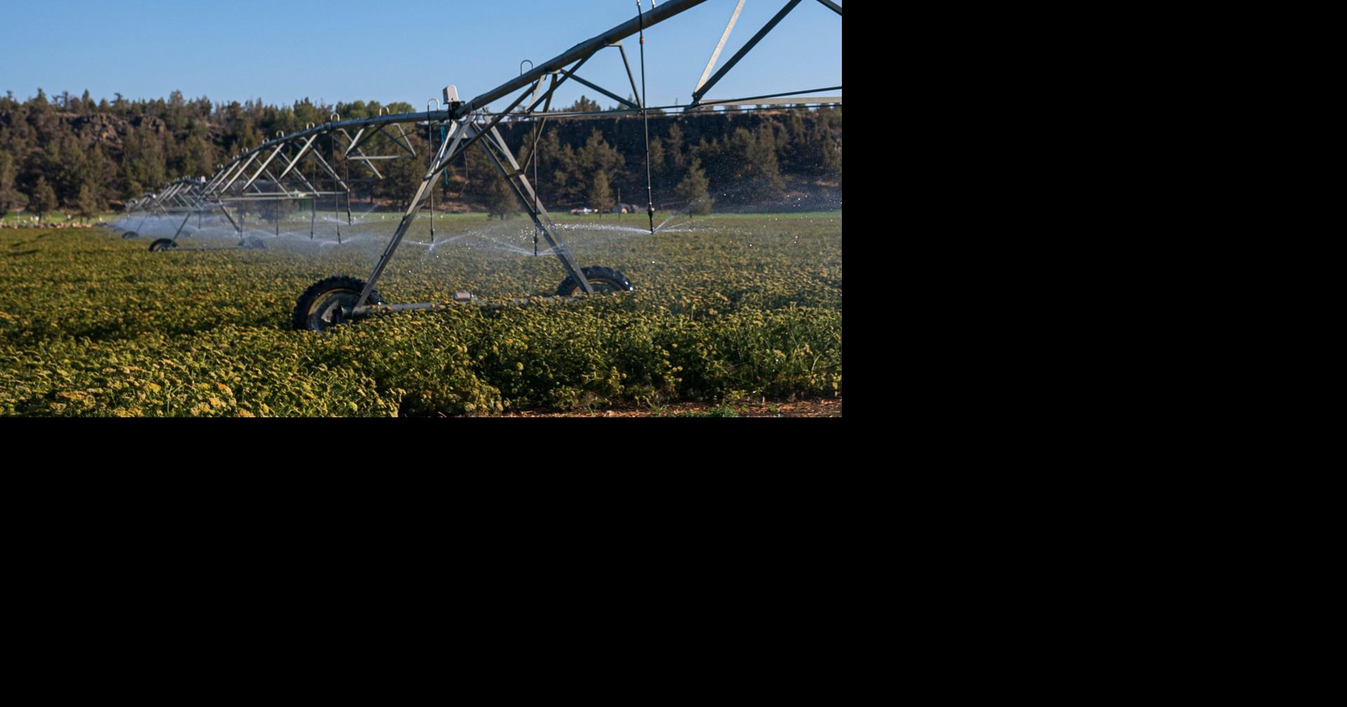 For Kotek and natural resources adviser, water tops list of 2025 ...