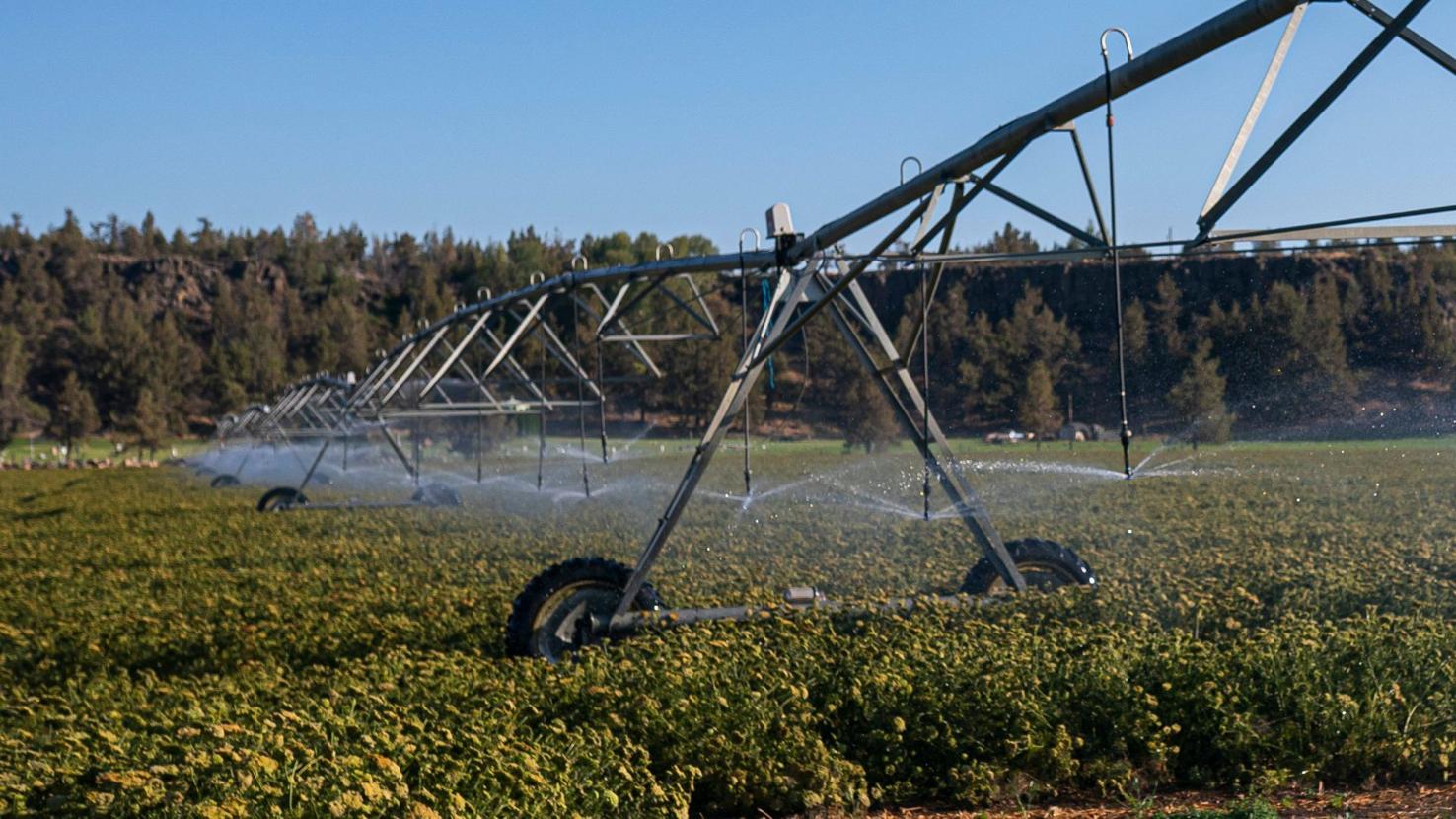Oregon 2025 water reform bills explained | Oregon / Northwest ...