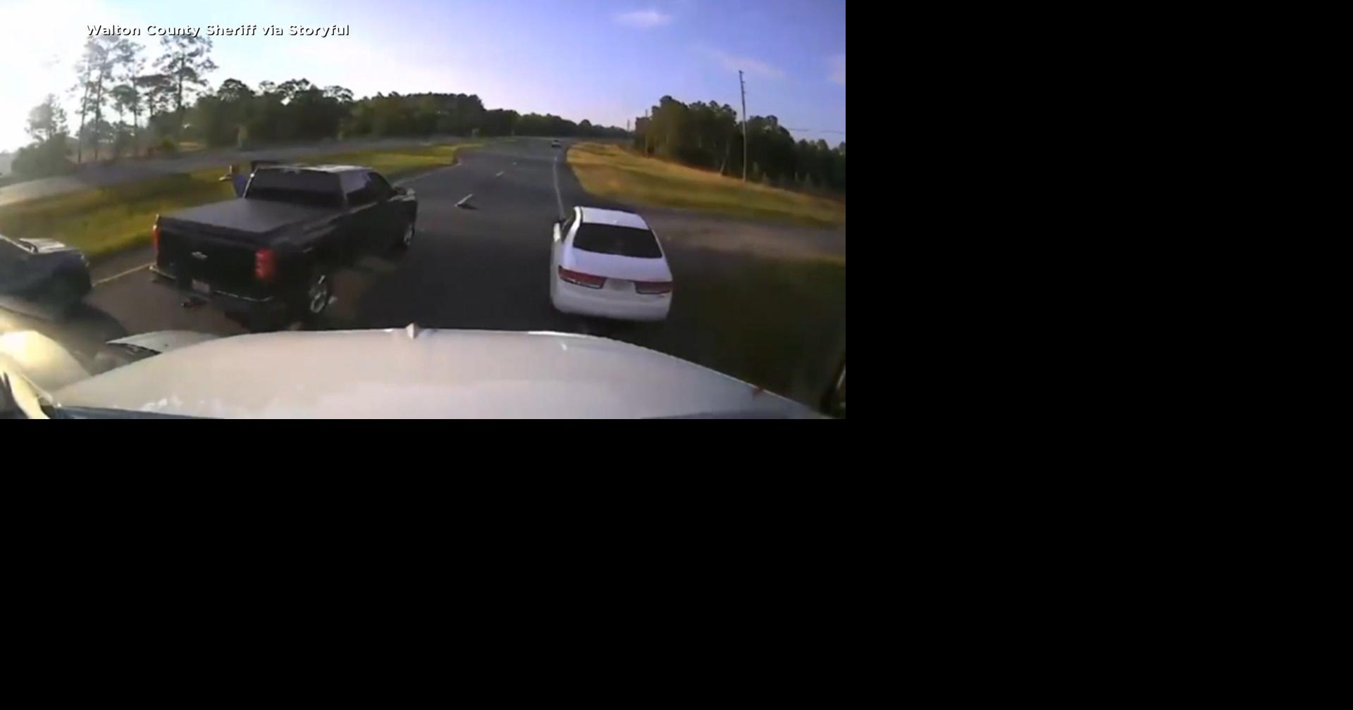 DASHCAM VIDEO: Florida chain-reaction crash caused by turtle crossing ...