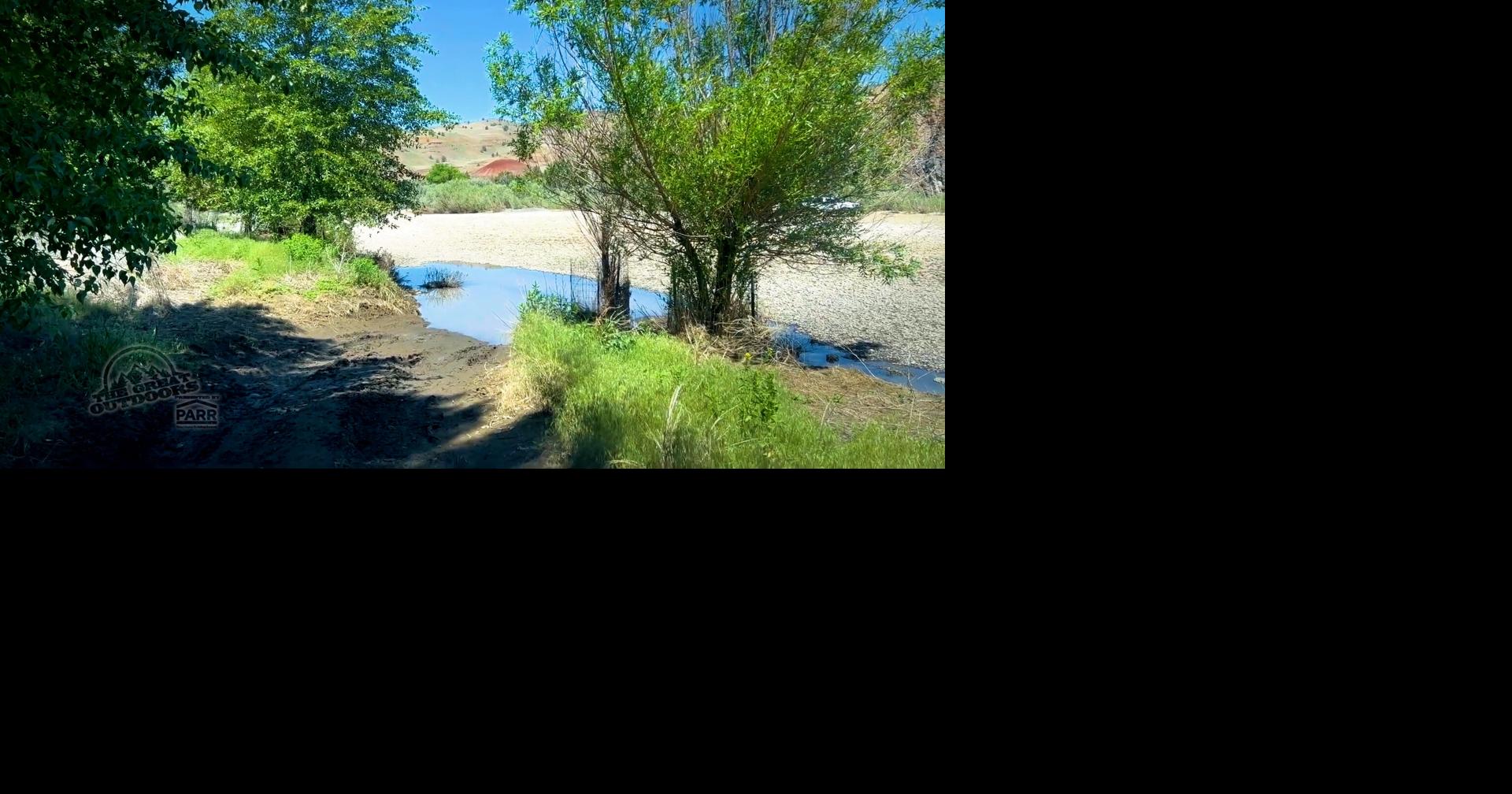 Major improvements to Priest Hole Recreation Site | The Great Outdoors ...