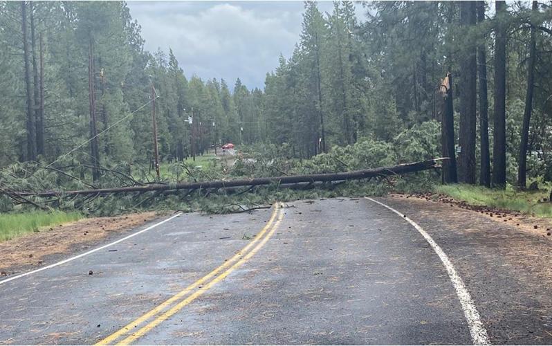 Severe thunderstorms pummel region; uproot trees, down power lines | Central-oregon-daily ...