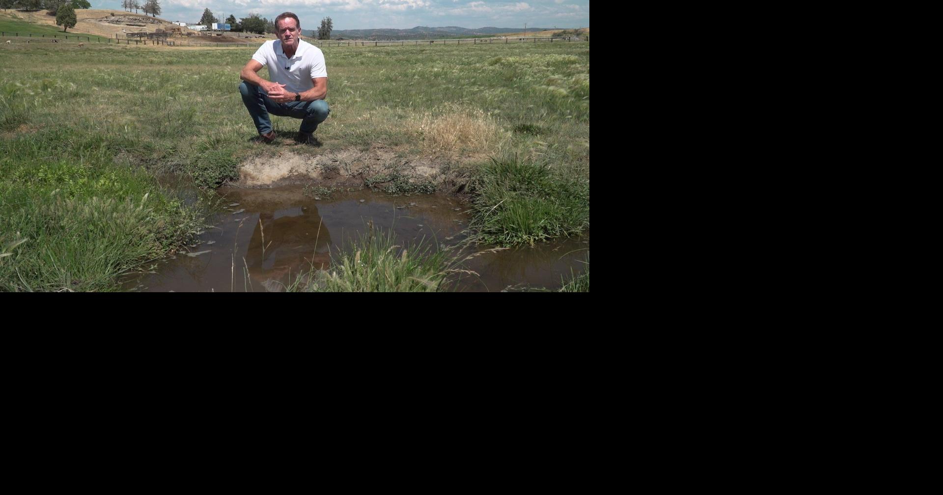 Central Oregon Daily wins 2 Emmys for investigation, feature | Local ...