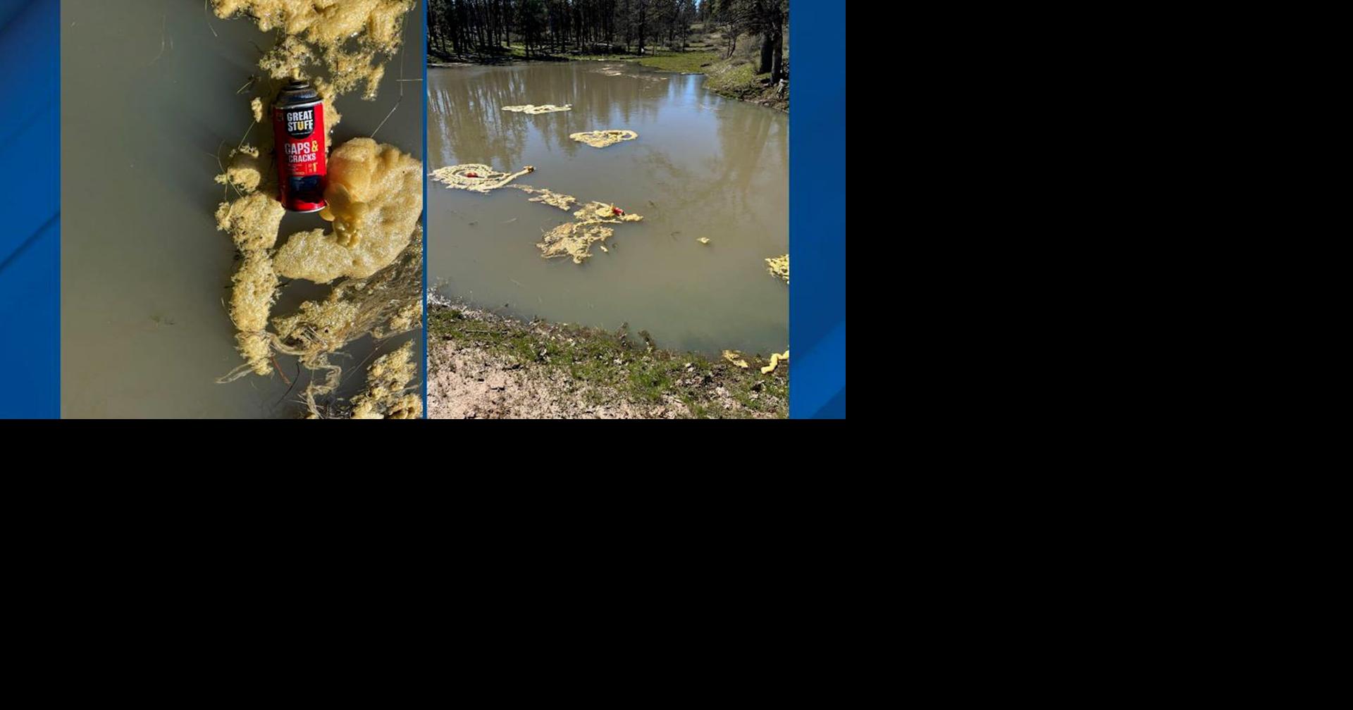 Spray foam dumped in Oregon pond under investigation | Oregon ...