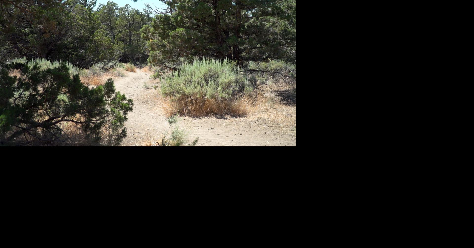 BLM mobilizes fire prevention education team as more fire hit La Pine ...