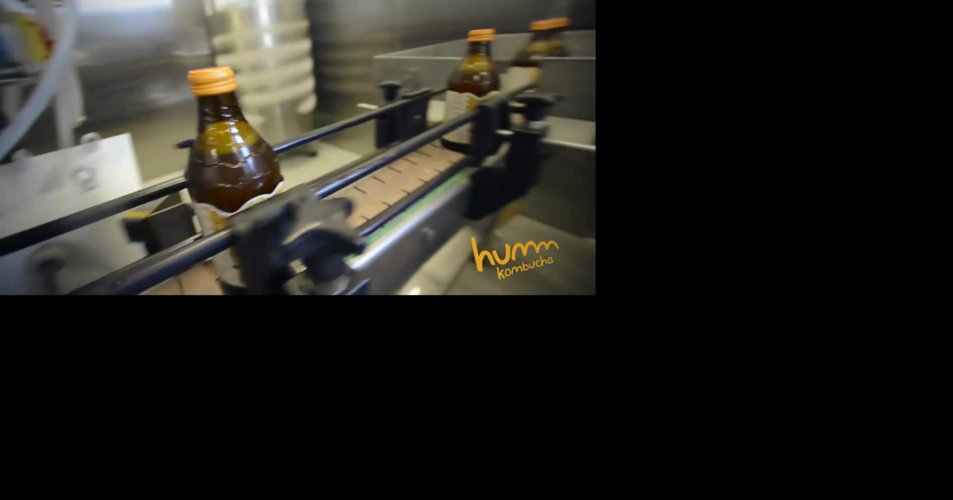 Newest Kombucha Facility Opens in Bend | Central-oregon-daily ...