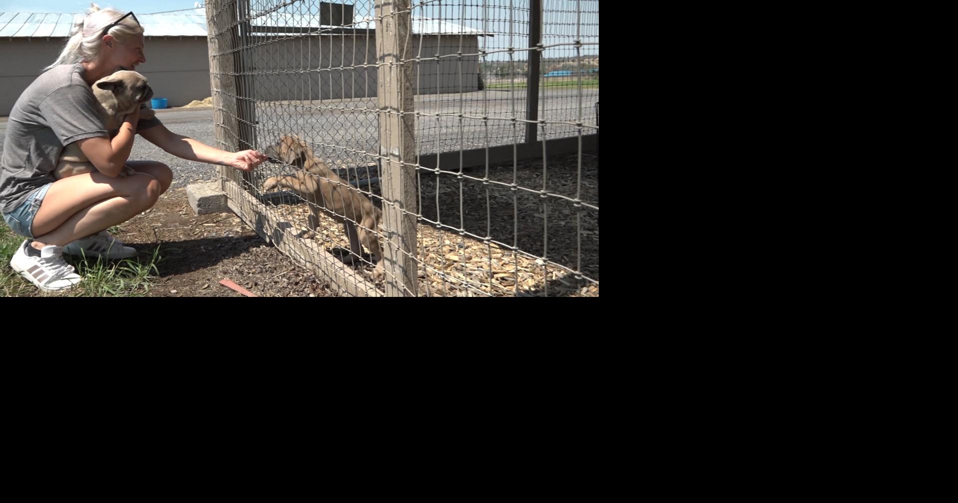 Elk Fire forces evacuations west of Madras | Madras / Warm Springs News ...