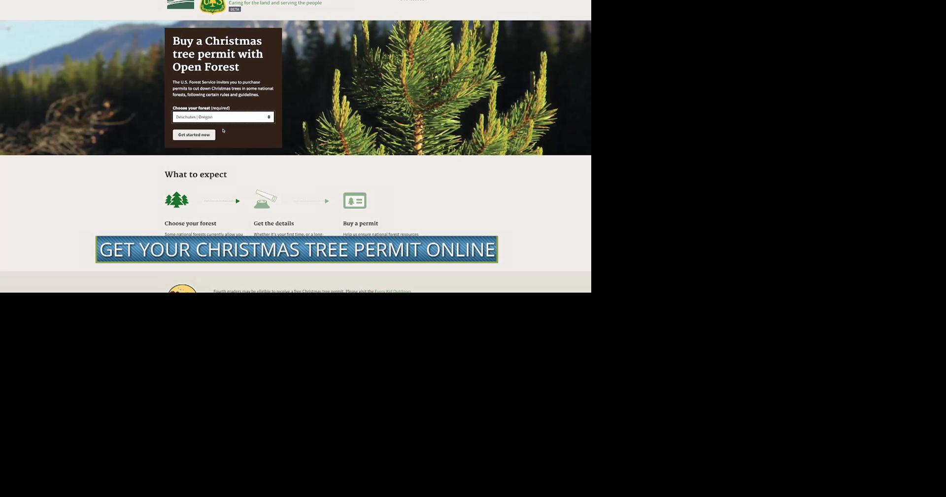 Christmas tree permits now available online | Central-oregon-daily ...
