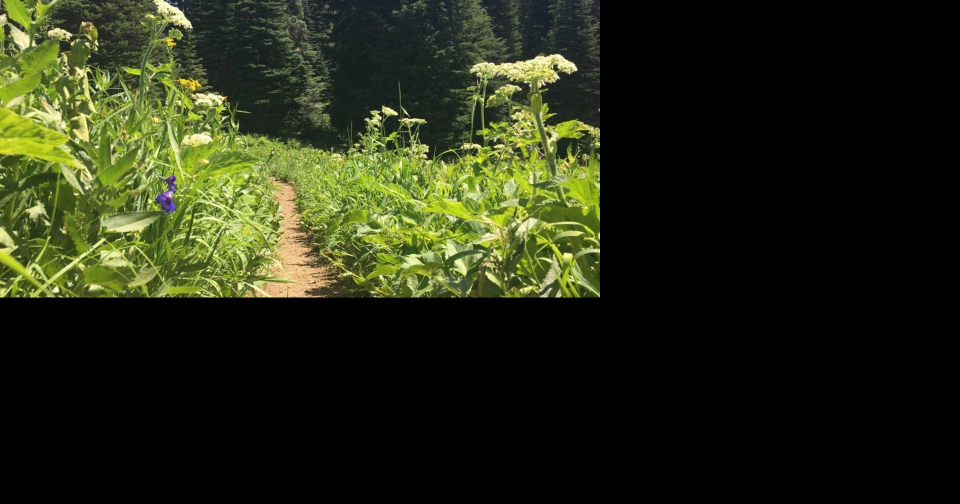 $1.6M in federal grants available for Oregon trail projects | Oregon ...