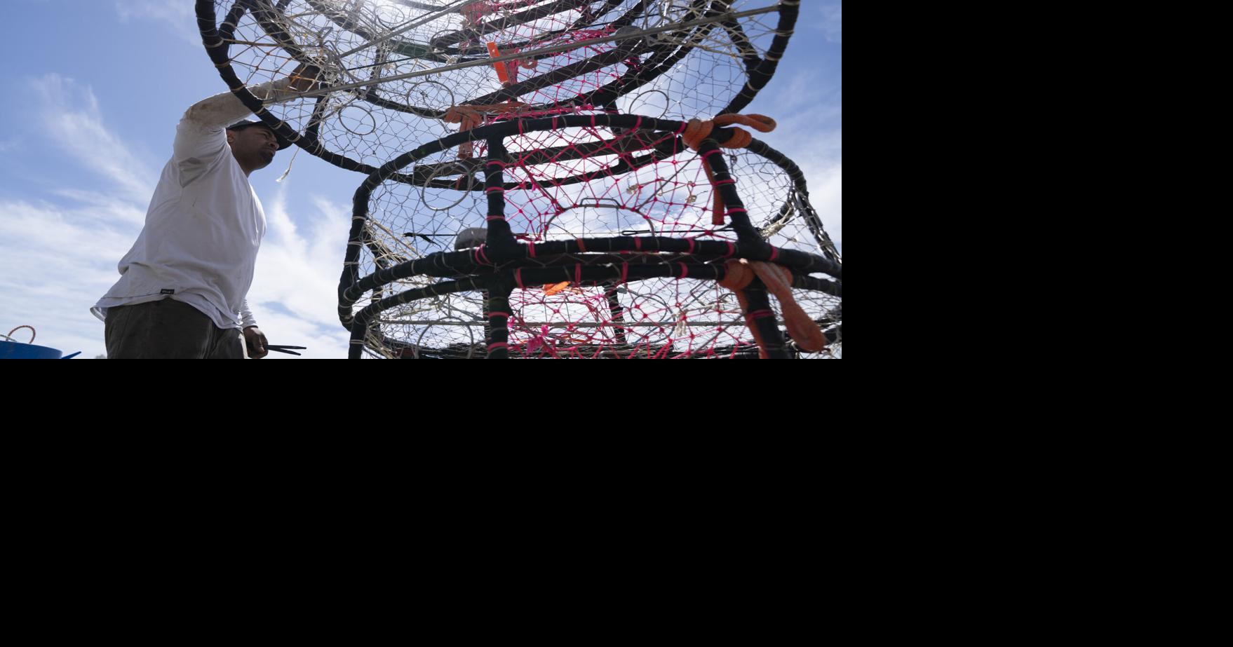 New Oregon crab fishing rules target whale safety | Pets, Animals and ...