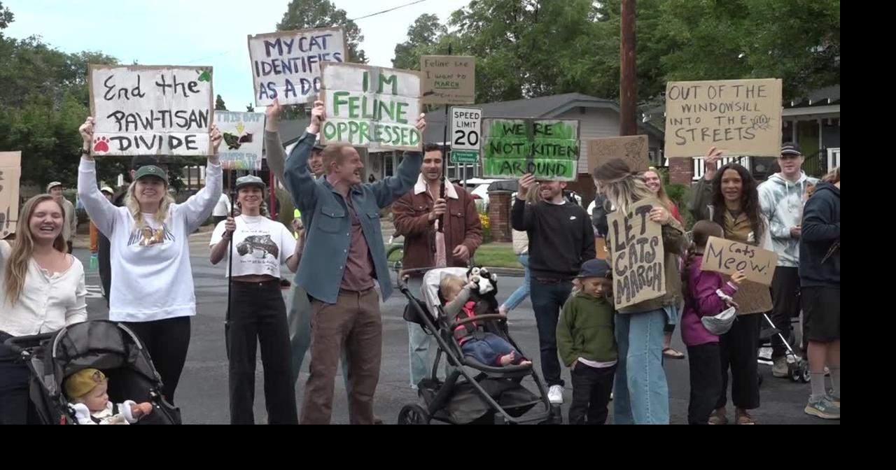 Cat lovers 'protest' no felines at Bend Pet Parade ...
