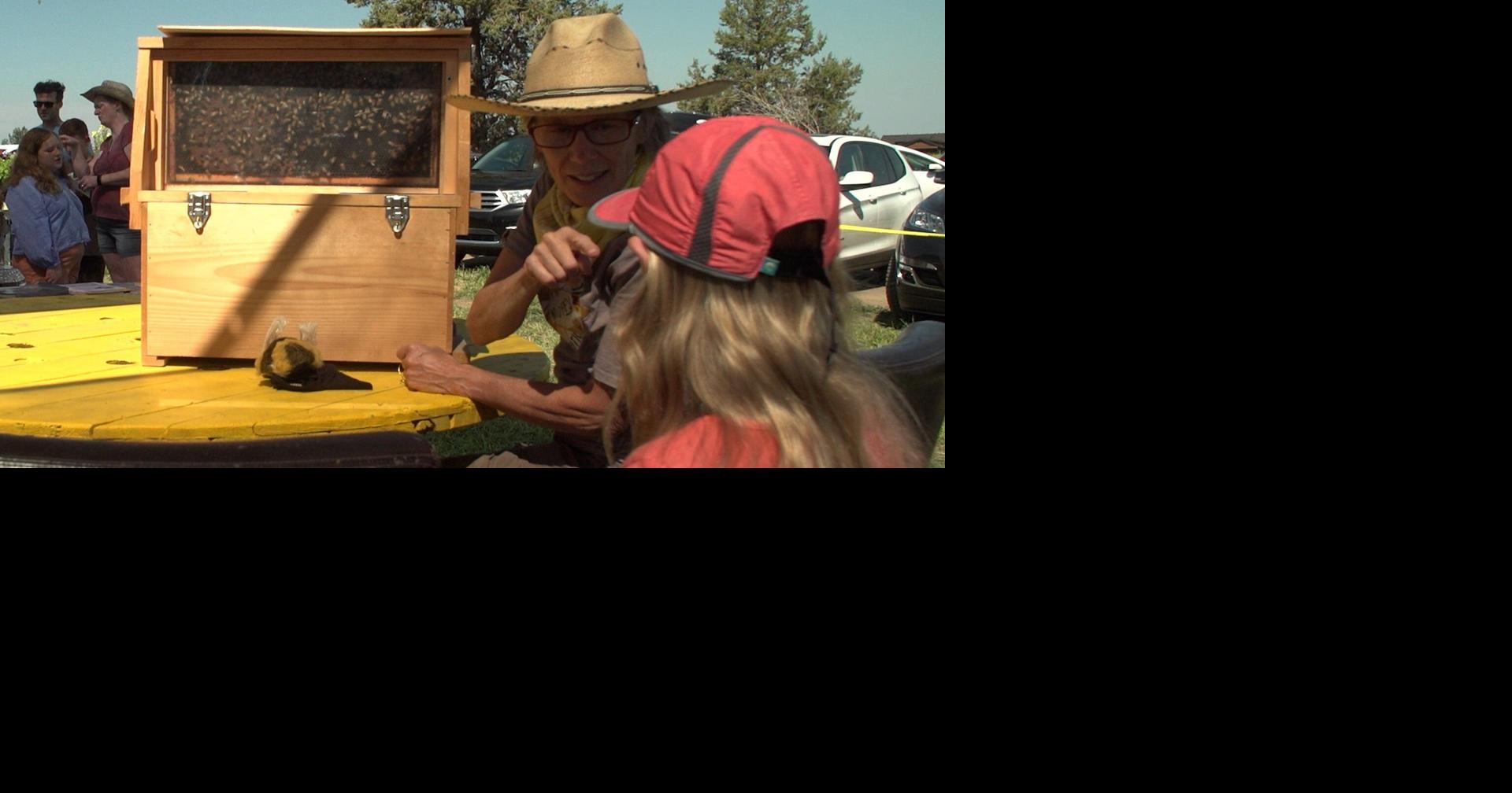 Beekeepers host a buzz of activities on World Honey Bee Day | Local ...