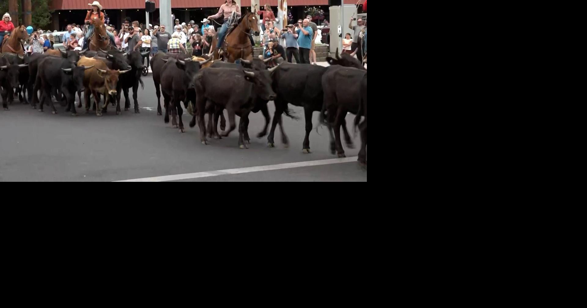 Will Hunting, fishing, ranching become a crime in Oregon? | Oregon ...