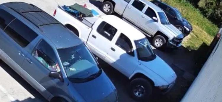Man let dog die in hot truck, tossed body behind Oregon bar, police say ...