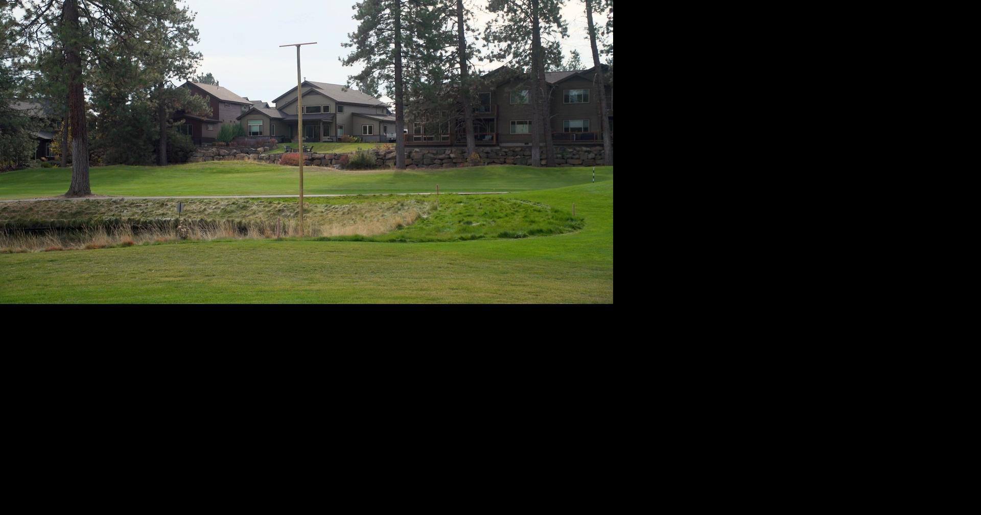 Raptors help control pests at Bend golf course | Local News ...