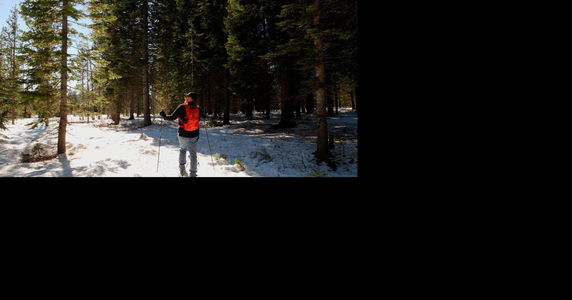 Struggling with loneliness, impacts of solitude, isolation | Little Did I Know ...