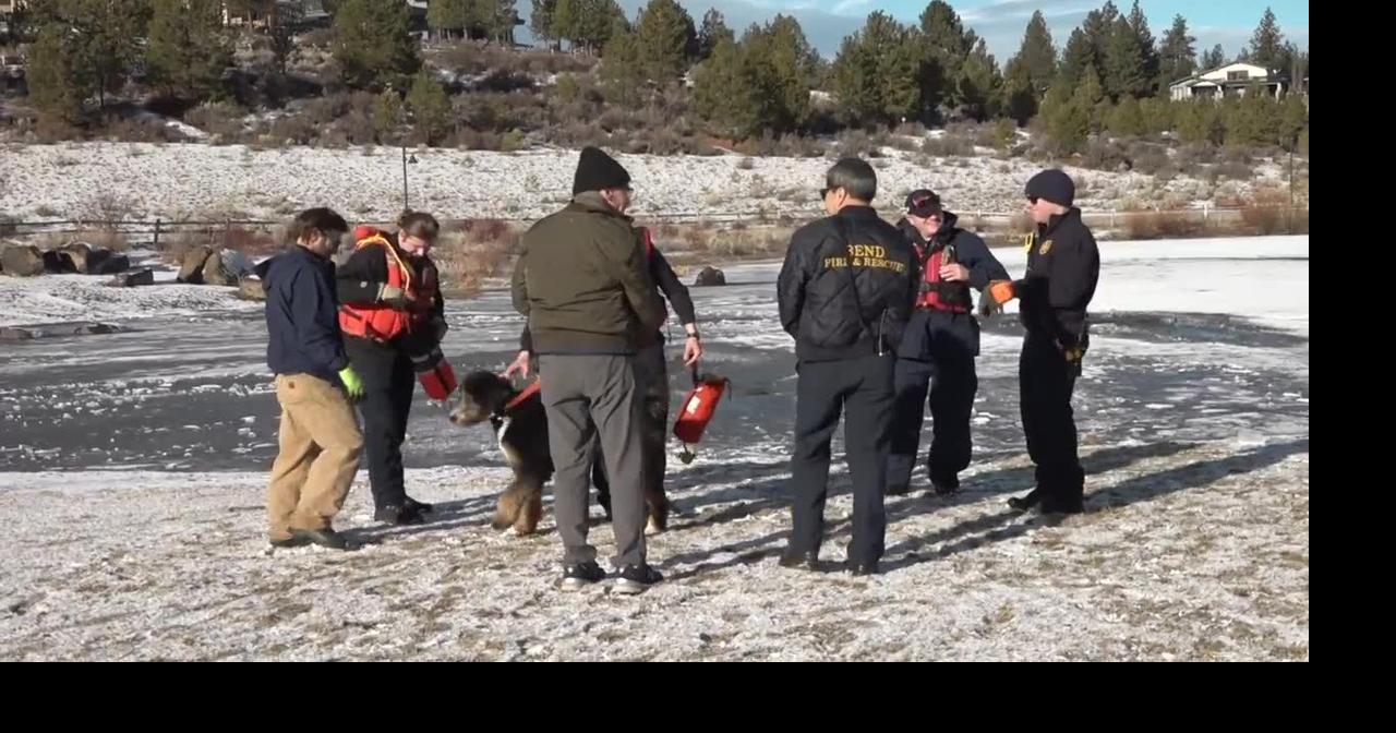 Firefighters train to rescue people, pets who fall through Central ...