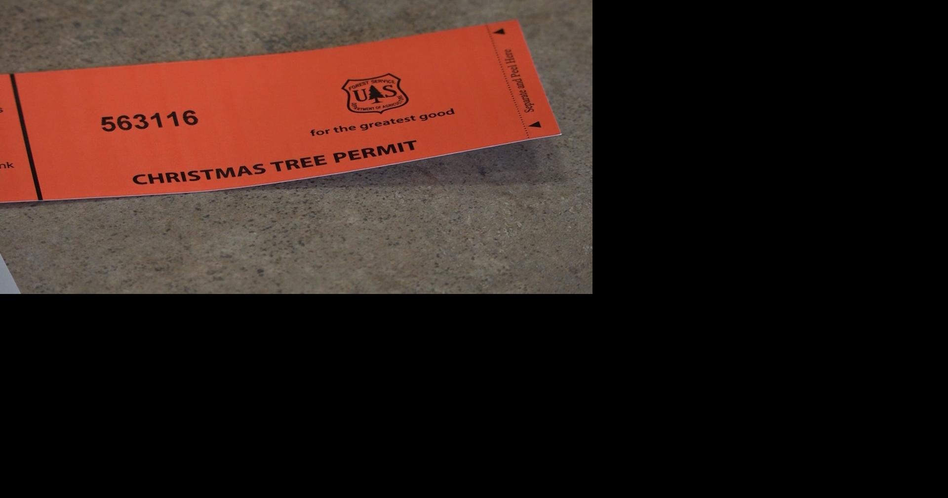 Finding the perfect Christmas tree in Central Oregon | Consumer ...