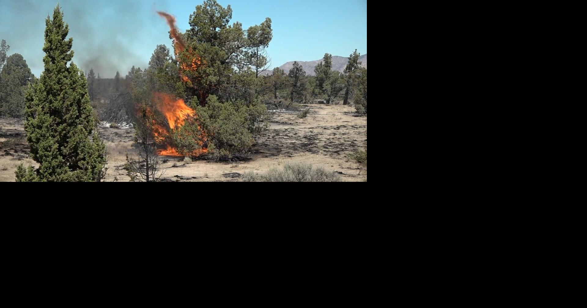 The Canal Fire near the Redmond Airport threatens power lines, airport ...