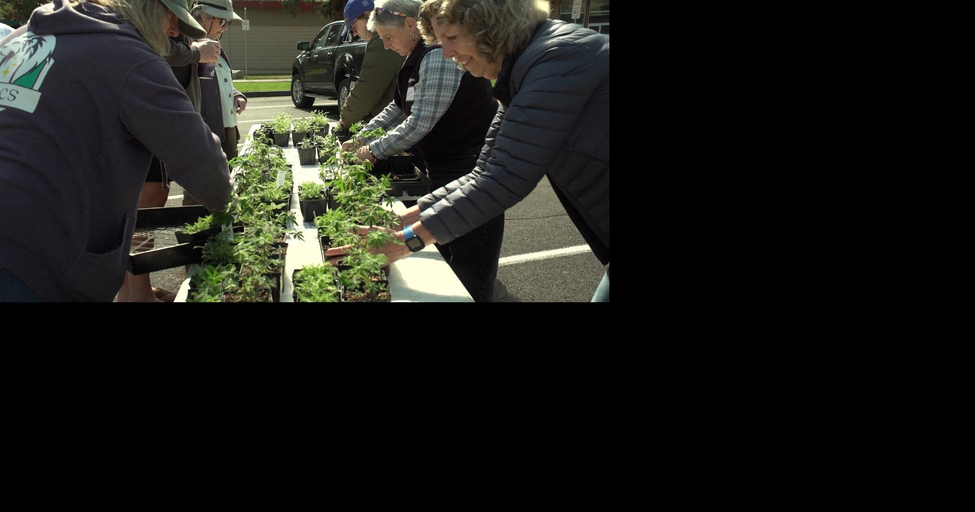 Bend Native Plant Giveaway Supports Pollinators | Pets, Animals and ...