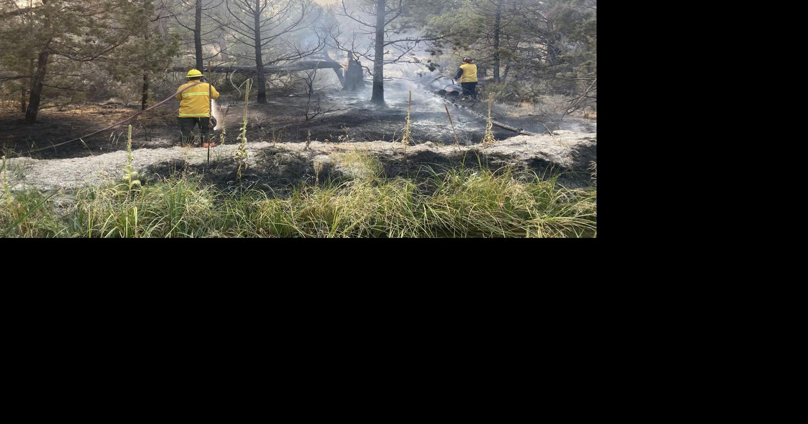 Smoldering tree fire hidden by smoky skies turns to brush fire east of ...