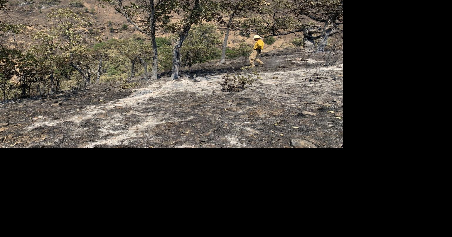 Perimeter strengthened around Larch Creek Fire | Oregon / Northwest ...