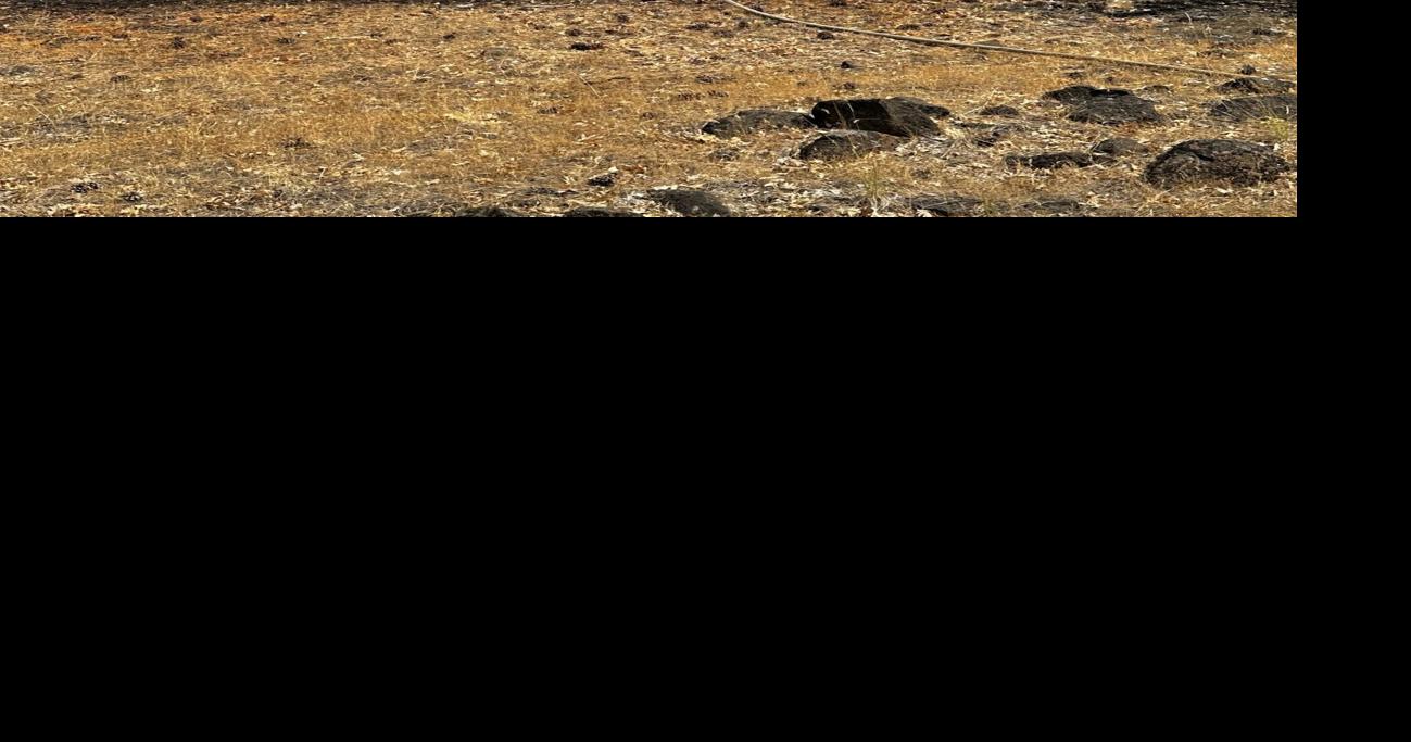 Larch Creek Fire 11% contained as firefighter build depth around ...