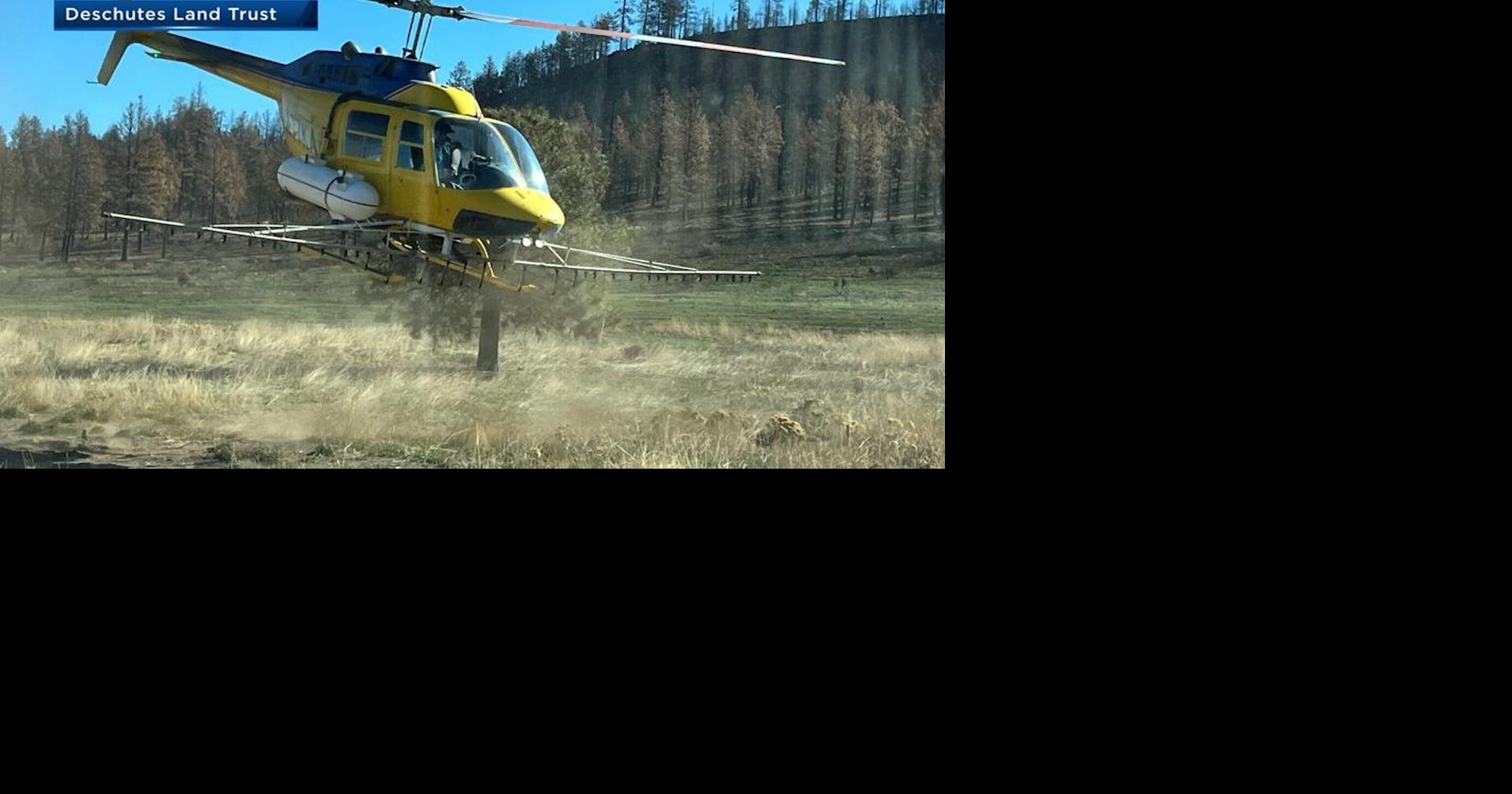 Cram Fire recovery starts at Priday Ranch | Madras / Warm Springs News ...