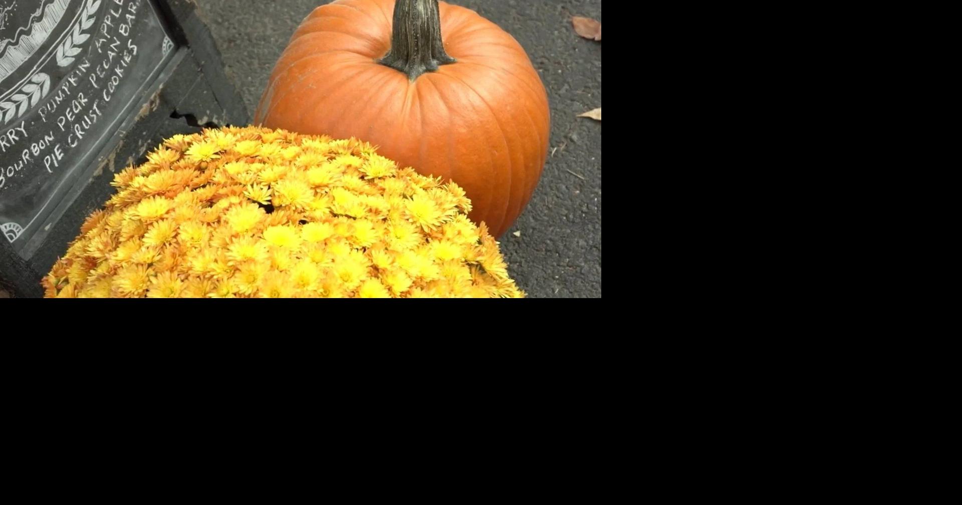 Bend Fall Festival returns with music, art and food all weekend | Event ...