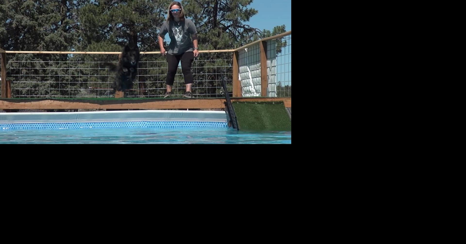 New dog dock diving pool opens in Bend for water-loving pups | Pets ...