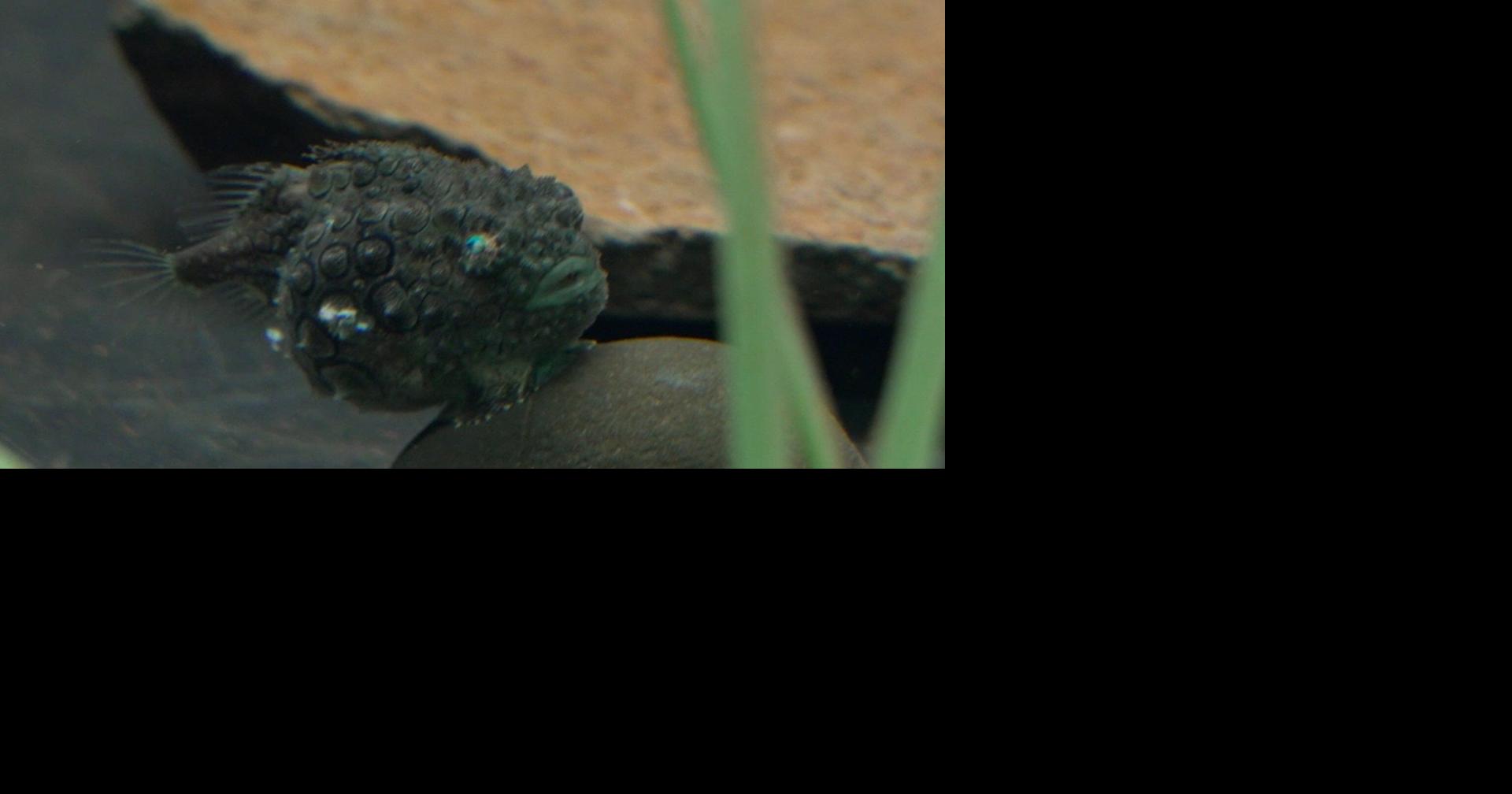 Seaside Aquarium: Seals, sharks, and marine life galore | Destination ...