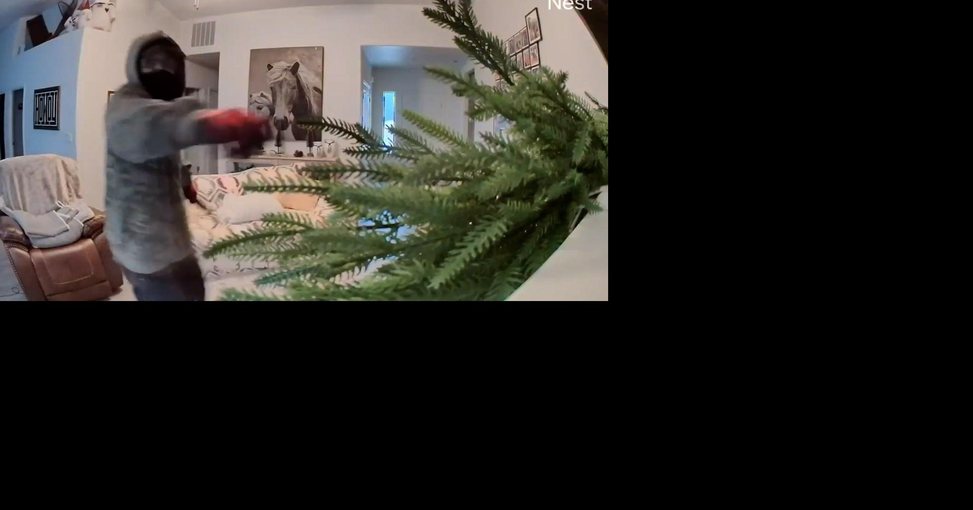 Three Rivers home burglar caught on camera | Local News ...