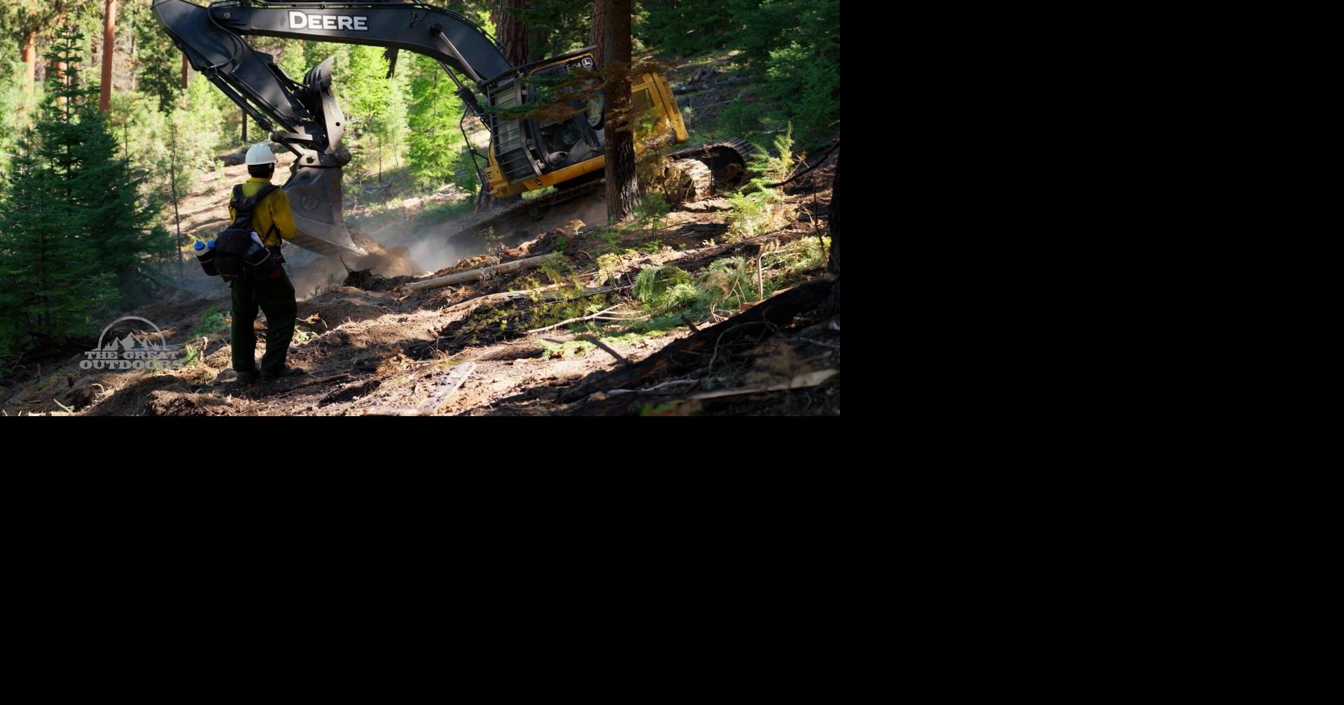 After Marks Creek Fire, repairing the land is key | The Great Outdoors ...